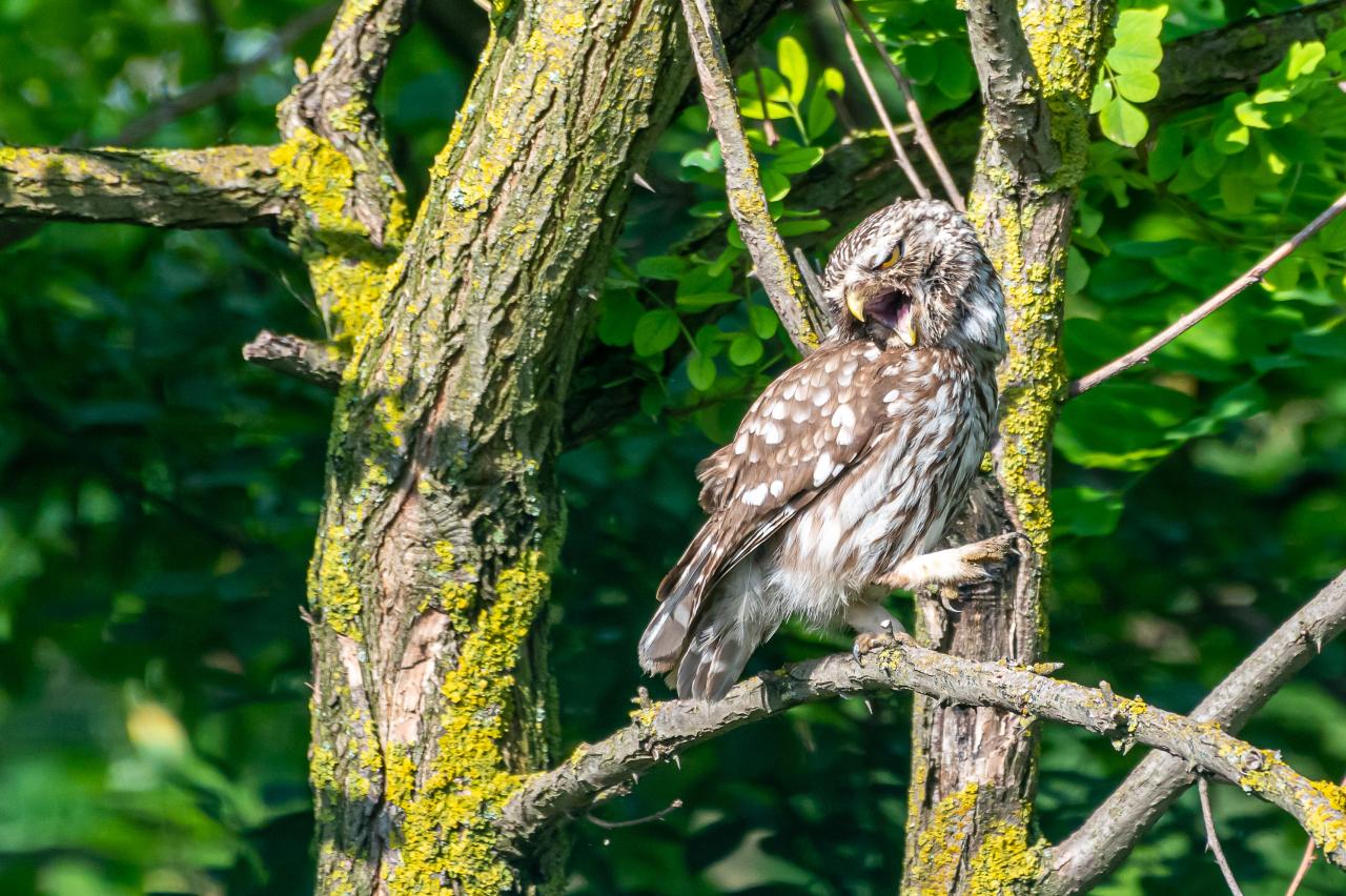 Parcul Național Retezat