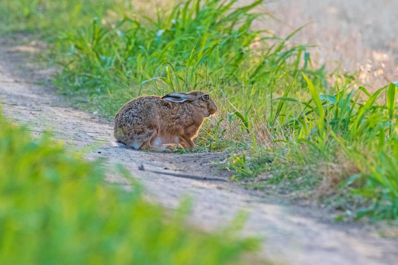 Parcul Național Retezat